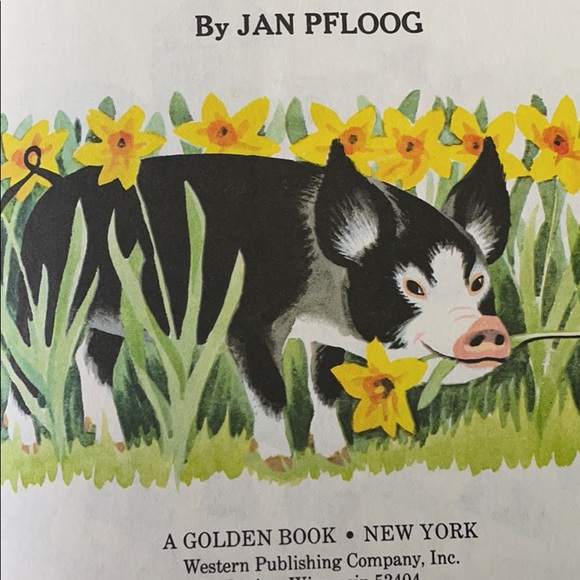 Golden Goose | Other | Vintage Golden Book Animals On The Farm | Poshmark